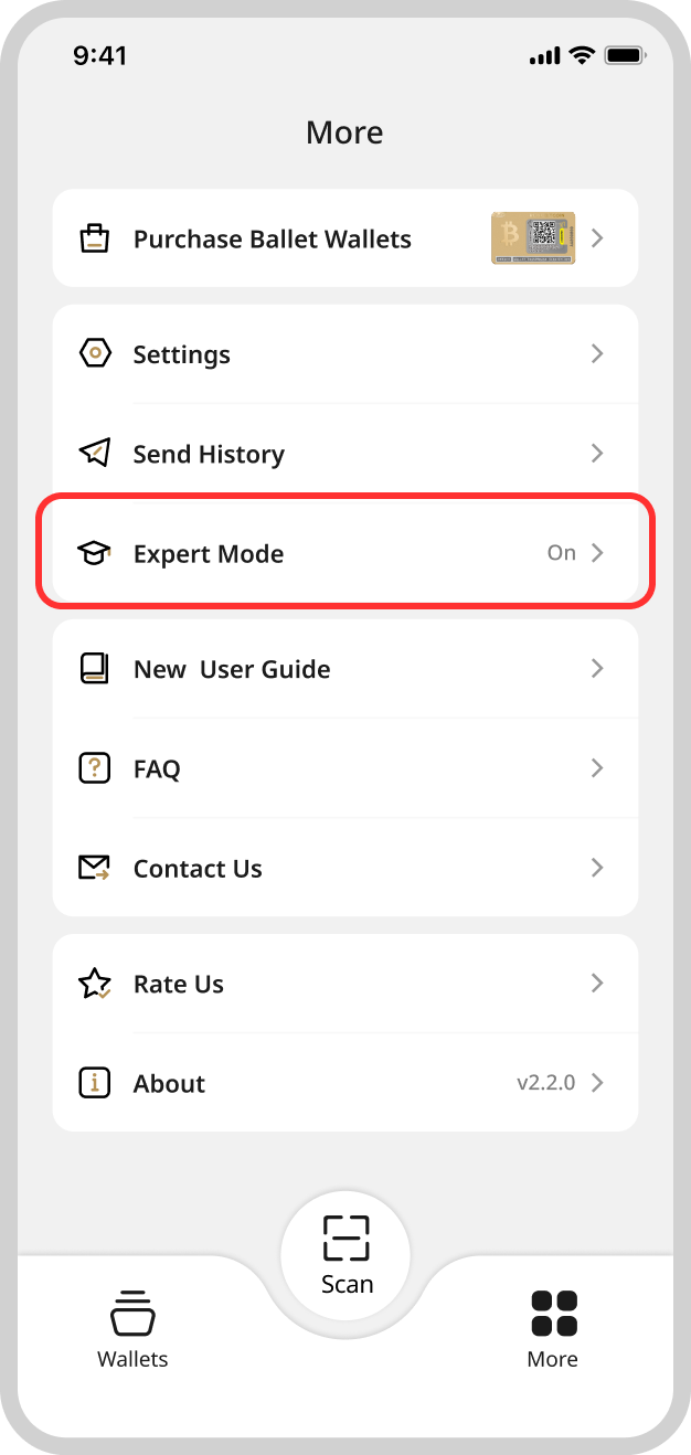 Import Crypto Assets from Ledger – Ballet