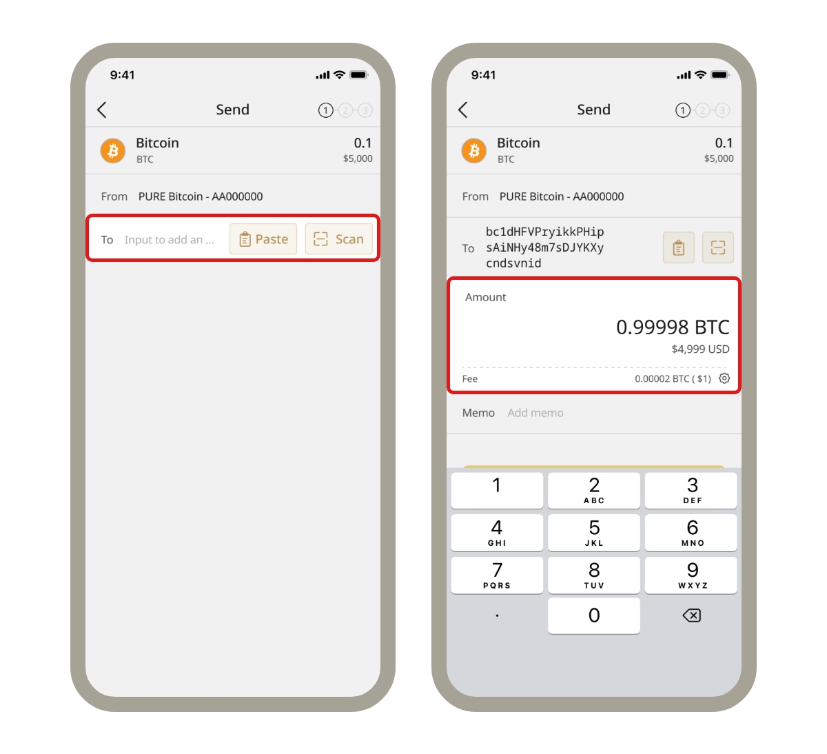 Send Cryptocurrency (PURE Bitcoin) – Ballet