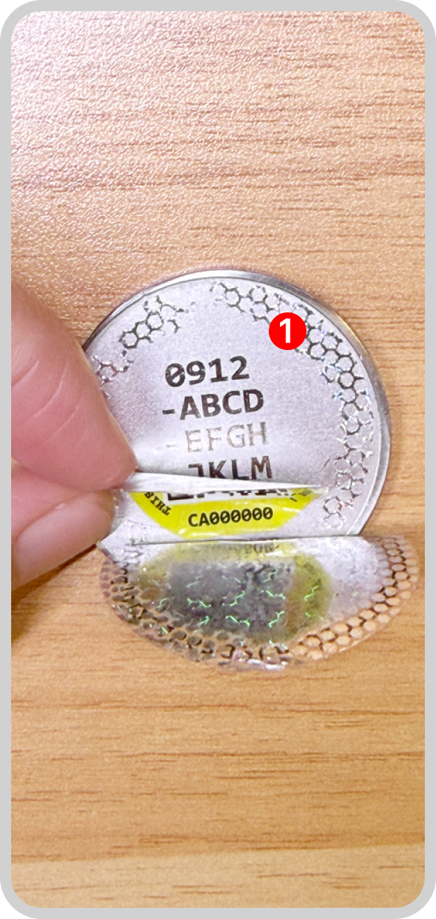 How to Transfer Crypto Assets from a Ballet Cold Storage Coin – Ballet